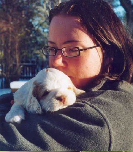 Clumber Spaniel Height & Weight - A Clumber Spaniel puppy